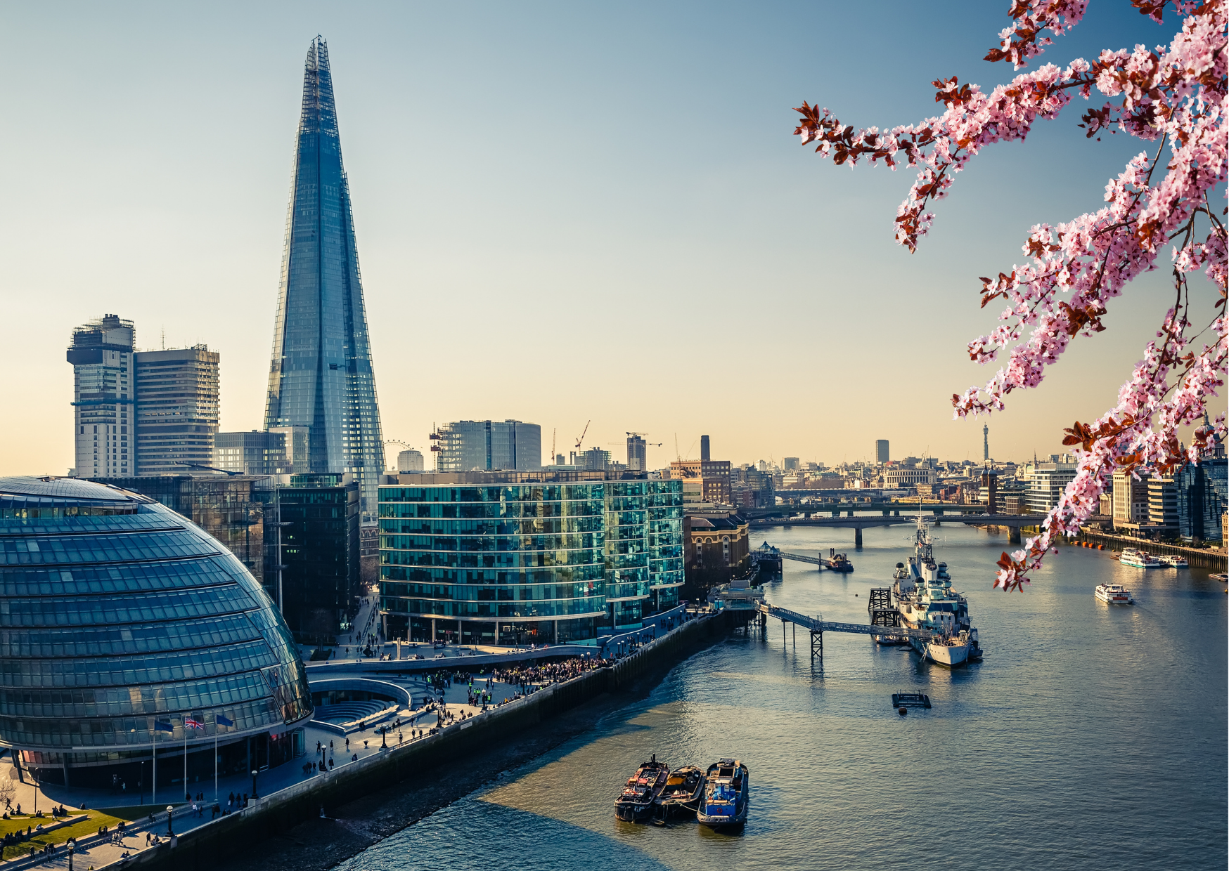 Untitled Design 20 Move Revolution