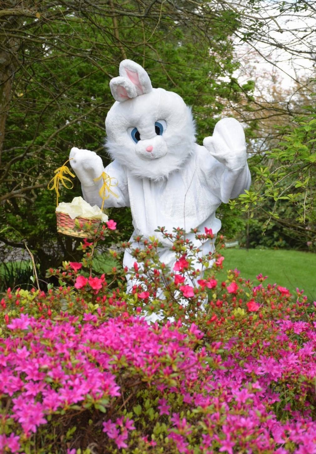 Trails Of The Easter Bunny - Move Revolution