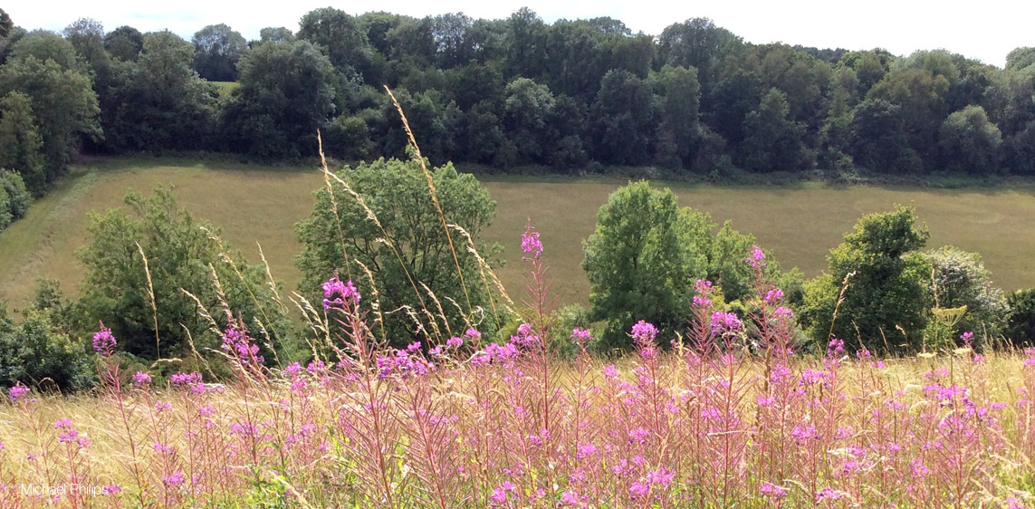 Living in Kenley - Move Revolution