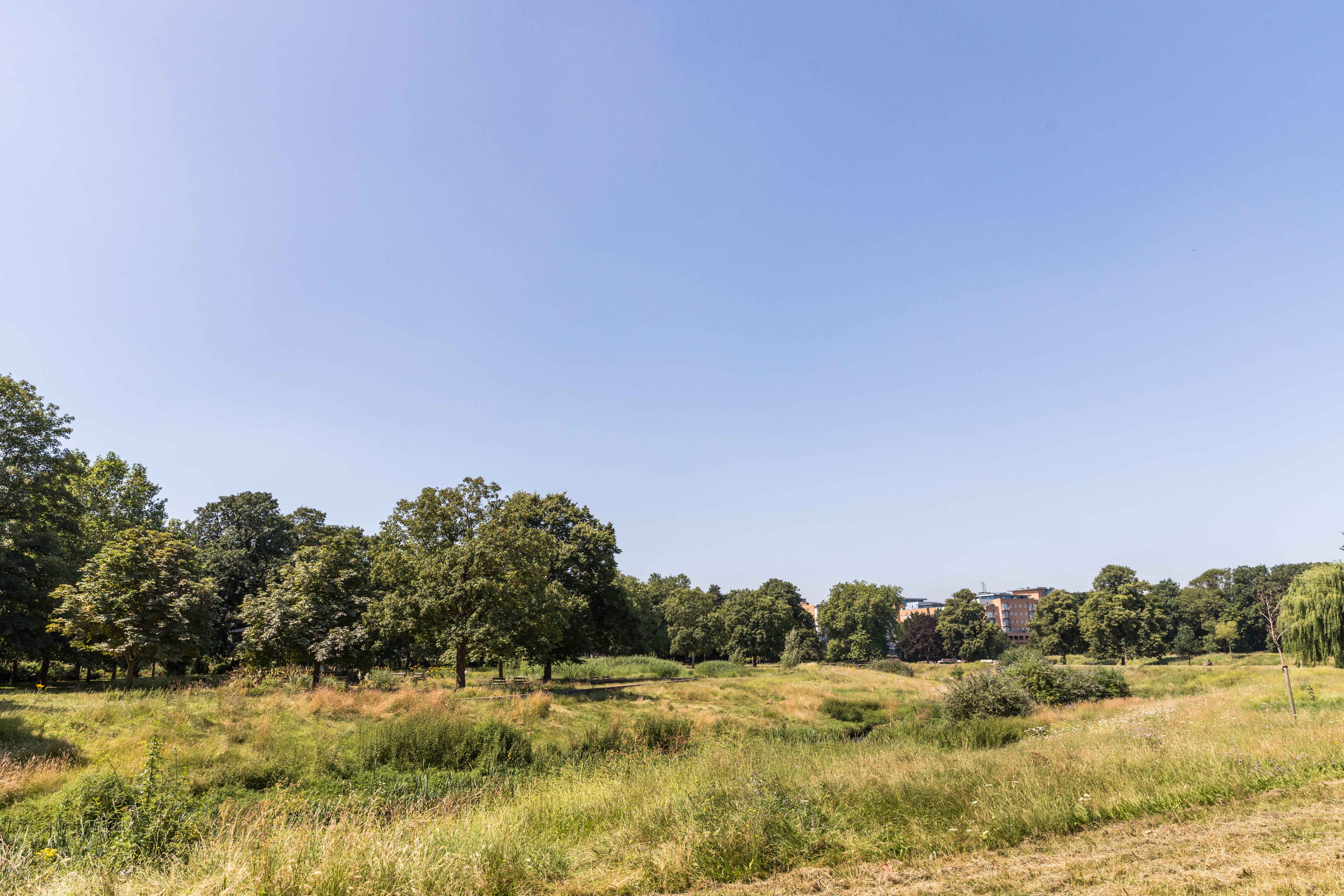 Wandle Park-2 - Move Revolution