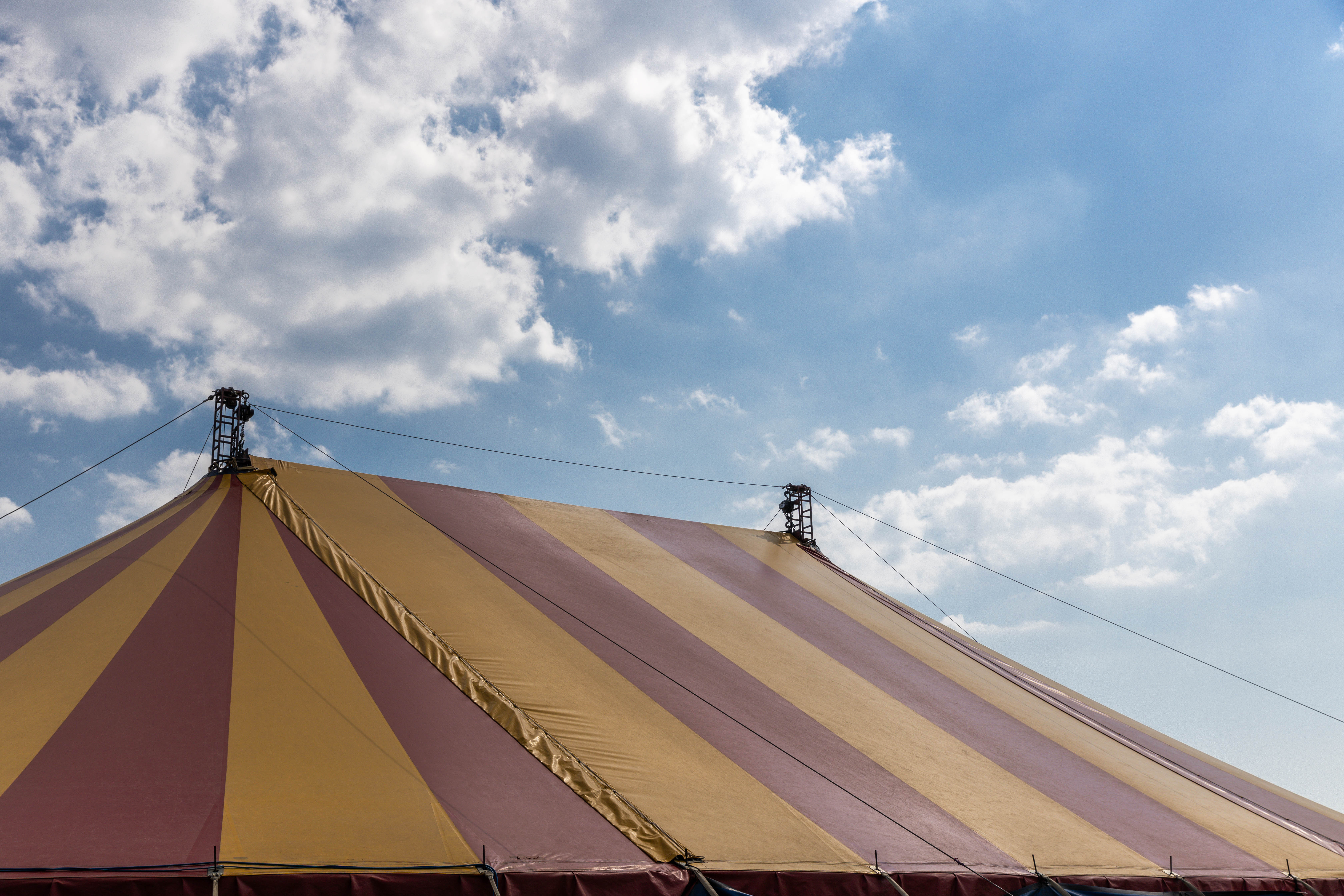 Brighton Circus 2023-7 - Move Revolution